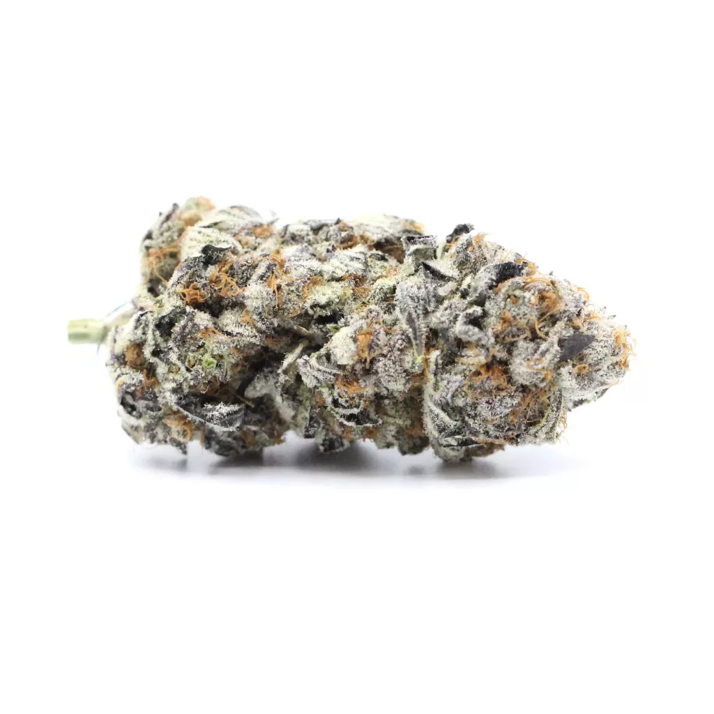 Purple Urkle - $4.25/gram - AAA - Hybrid - Chronic Paradise